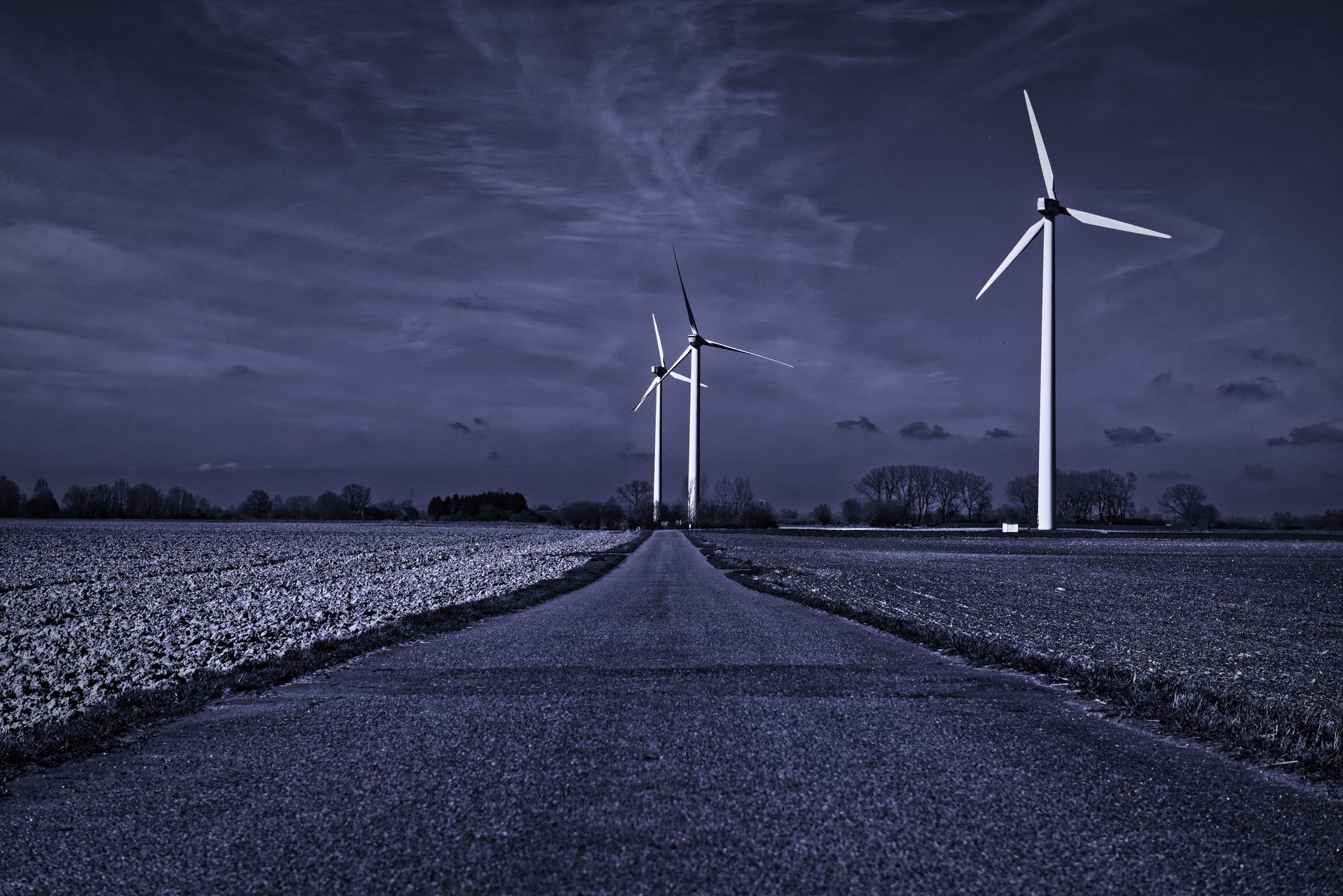 No Wind - OGQ Backgrounds HD