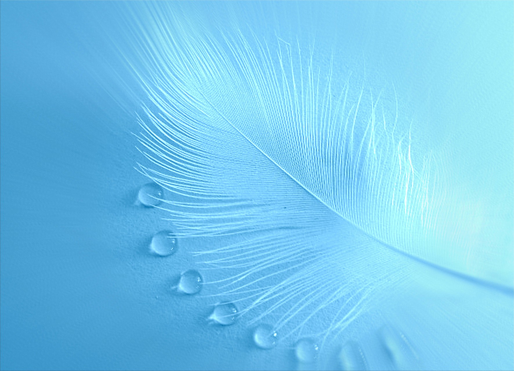 Light Feeling - OGQ Backgrounds HD